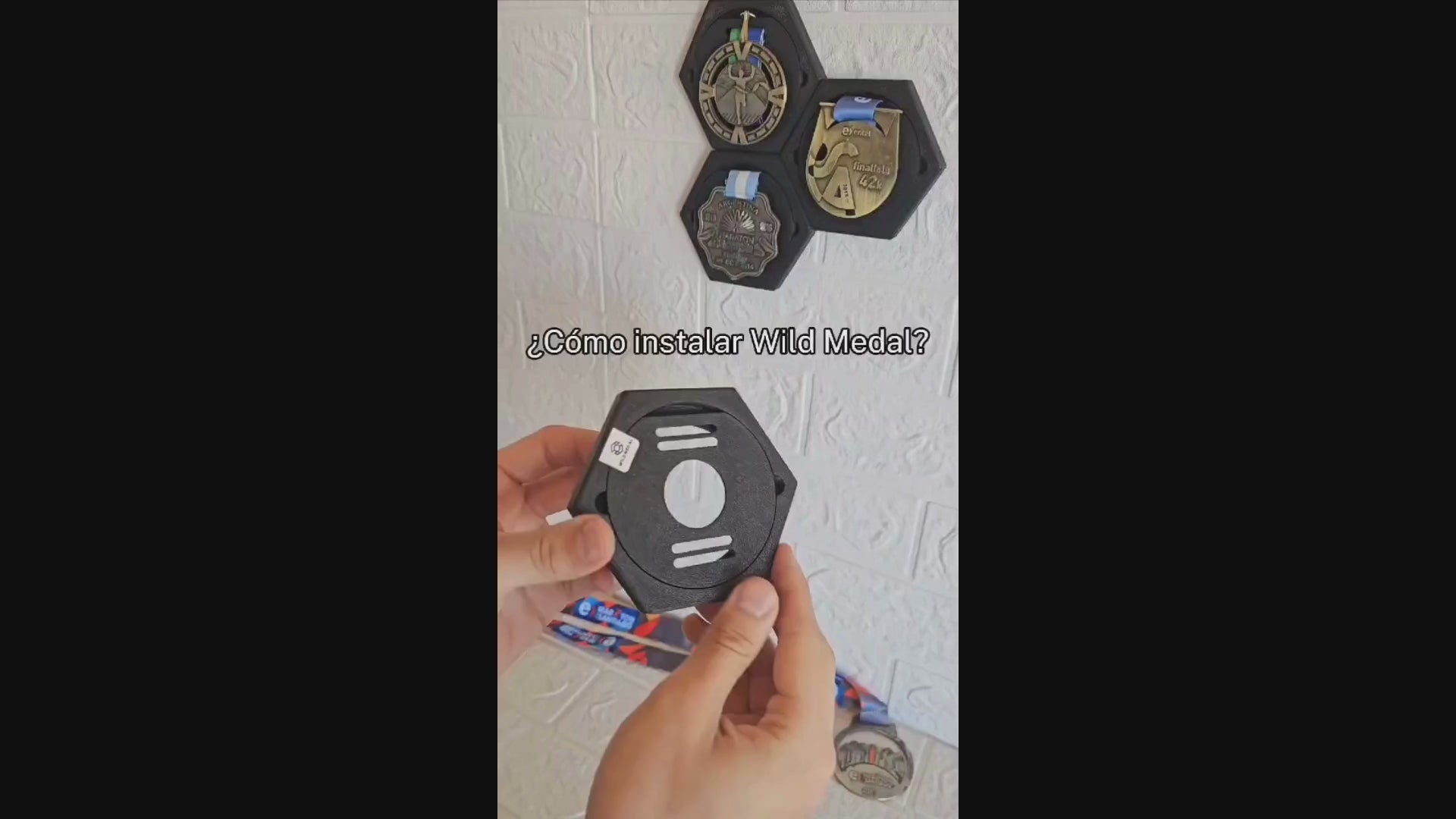 Guía Instalación – WILDMEDAL